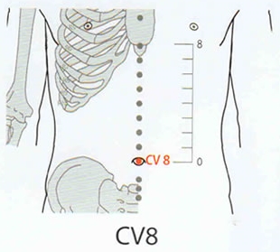 Шэнь-цюэ — Altermed Wiki