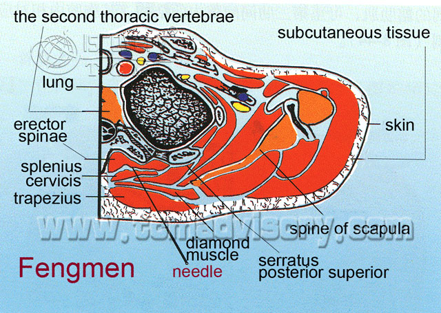 Фэн-мэнь — Altermed Wiki