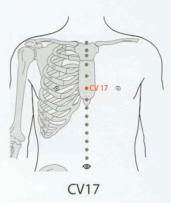 Дань-чжун — Altermed Wiki