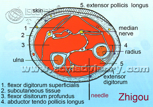 Чжи-гоу — Altermed Wiki